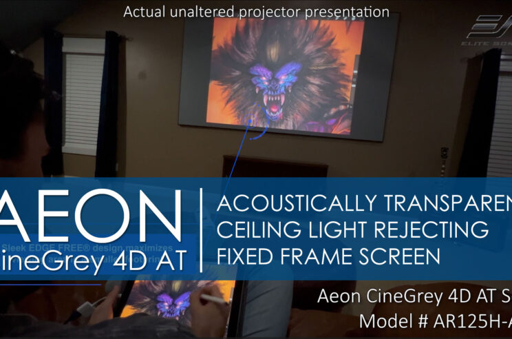 Installation Chat: All About the 12-Volt Trigger – Projection Screen ...